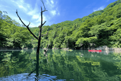 Natural Theme Park?! An Adventure Experience Exclusive to the Tohoku ...